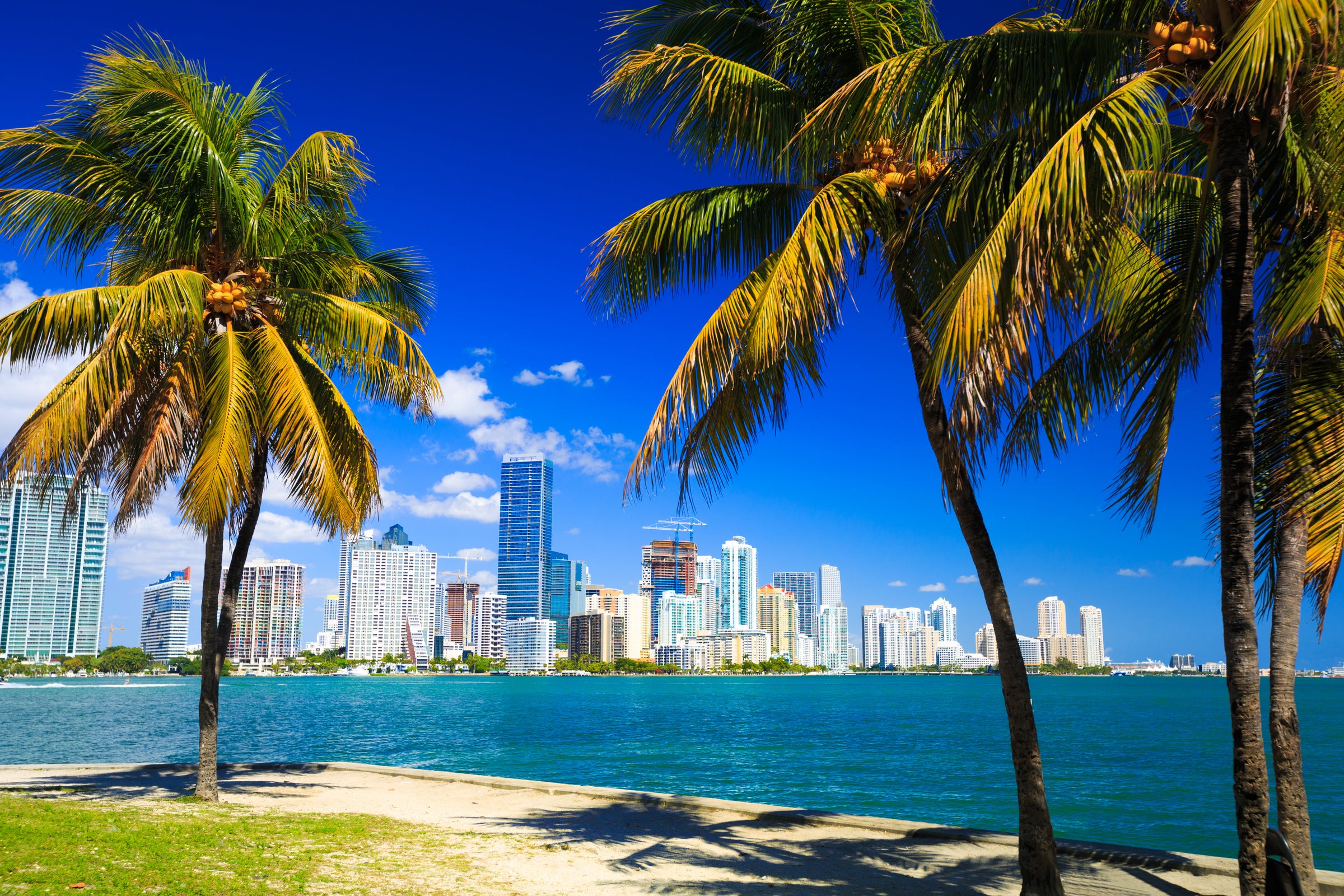 FLDOE Approved Inservice Points | Florida Recertification – Happy ...